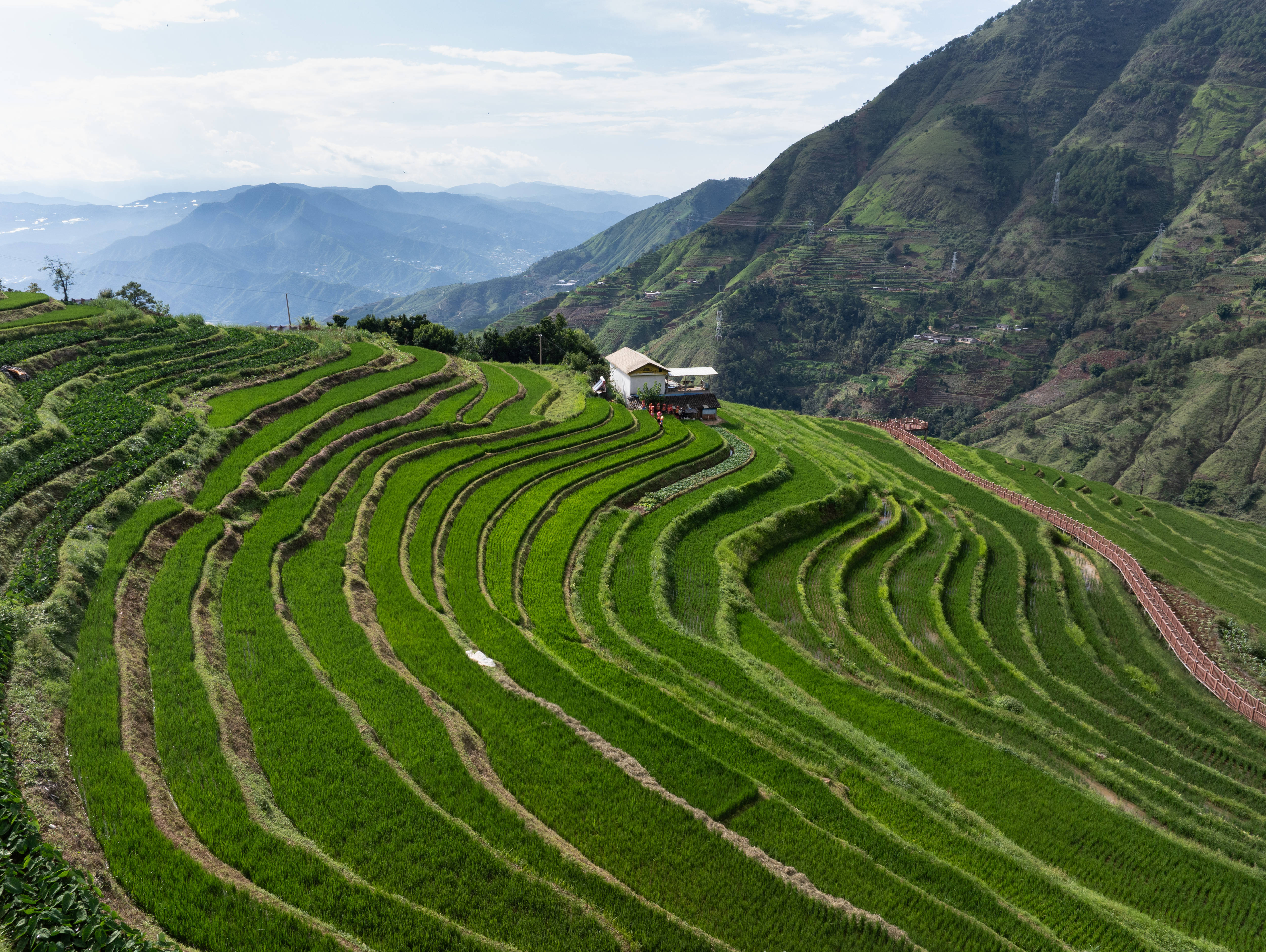 14297.5亿斤！沃野良田筑牢“丰收密码” - 中国 - 南方财经网